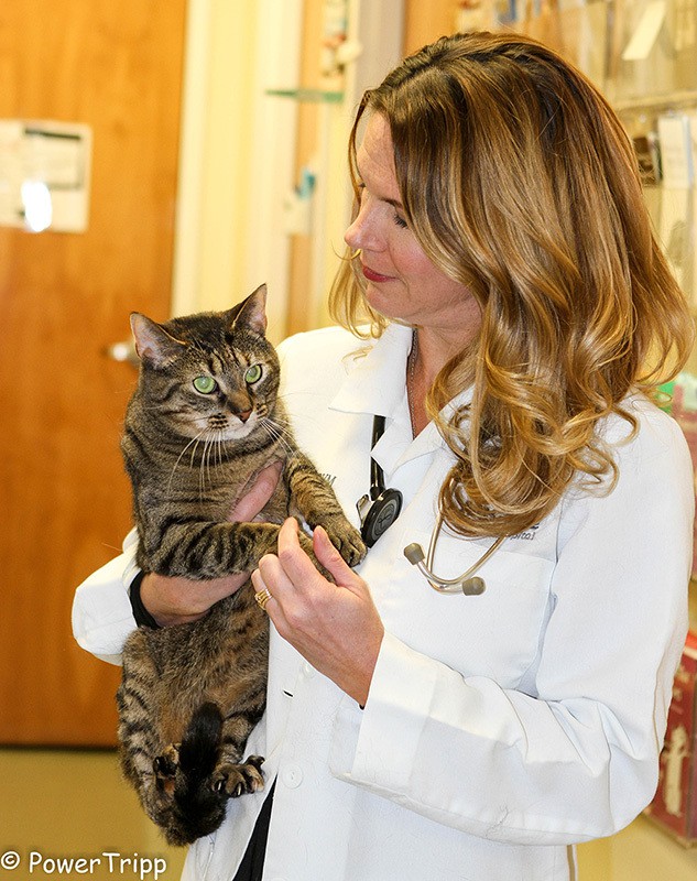 Meet Our Doctors - Alliance Animal Hospital